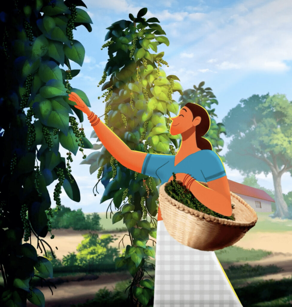 Ceylon Pepper – King Of Spices